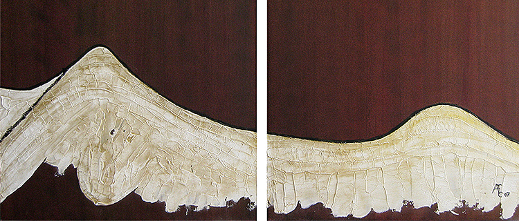 arts - Arthur Fischer Colbrie